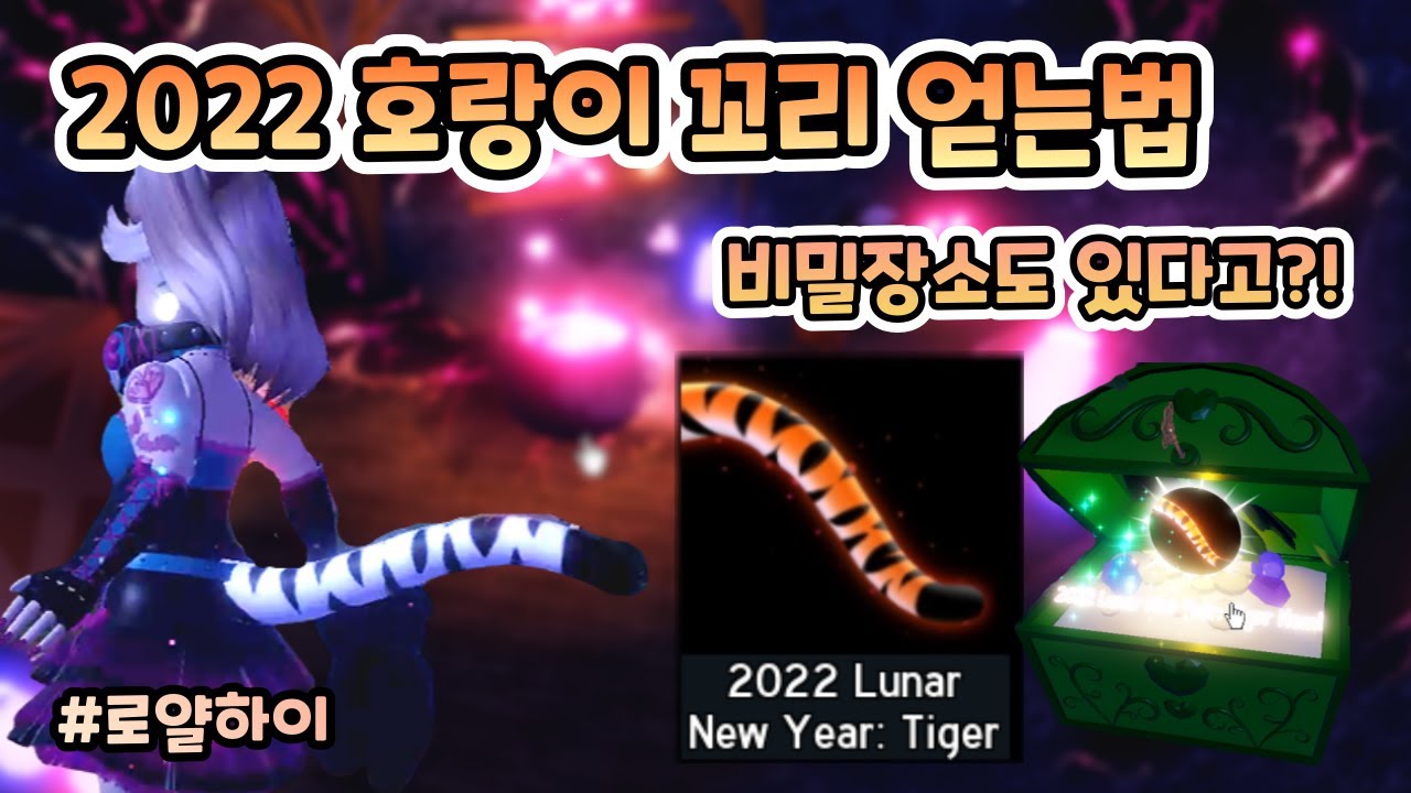 로블록스 로얄하이 새로운 발렌타인 보물상자에 호랑이 꼬리가 완전 코코 취향 비밀 공간도 생겼다고 Roblox