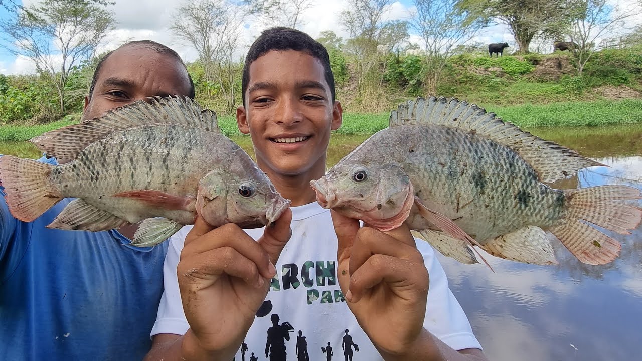 Veja SÓ O Tamanho Dessas Tilapia Que Pegamos No Rio Pescaria Pai E