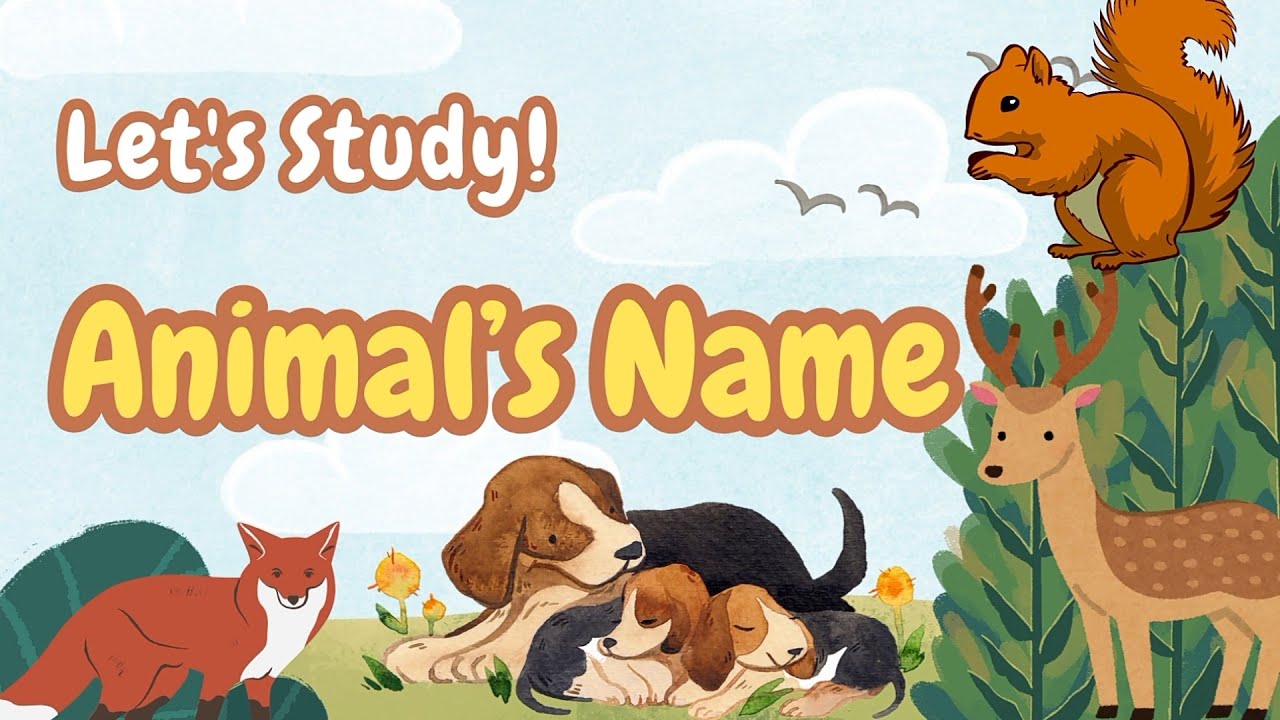 Animals name ll fruits name abcd alphabet animals name nursery rhymes ...