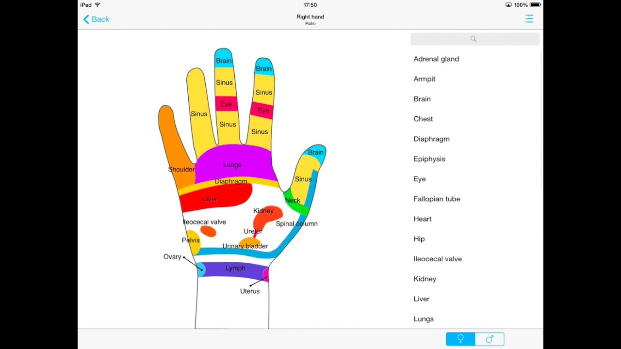 Massage Maps 2.0 on iPad - YouTube