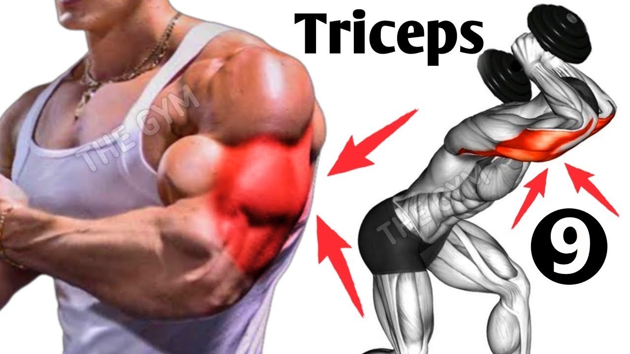 tricep exercises:9 best tricep exercises - YouTube