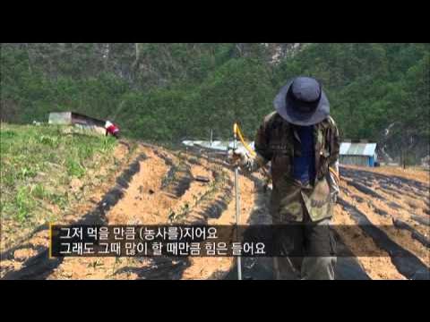 EBS 다큐프라임 - EBS 3D 입체 다큐멘터리_한국의 강 4부_강과 함께 살어리랏다_#002 - YouTube