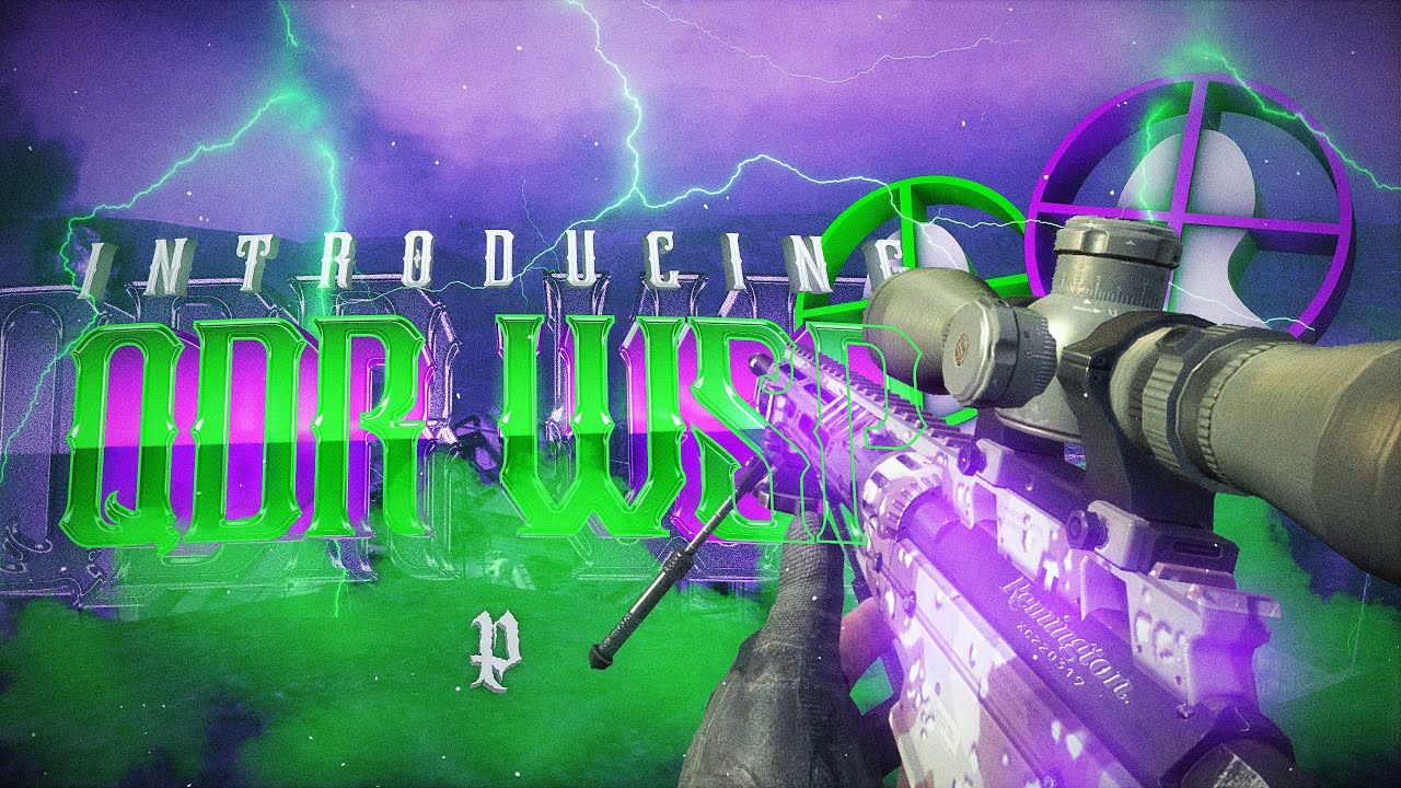 Introducing QDR WSP - By: Duality (Multi-COD Montage) - YouTube