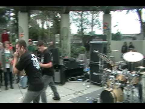 Animosity-Thieves