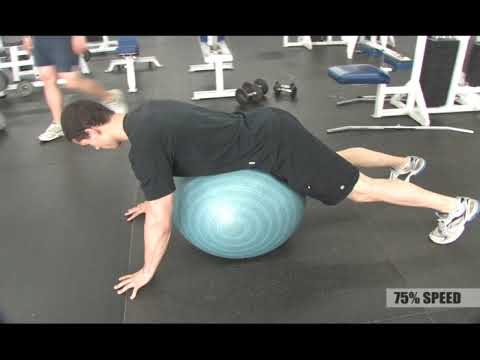 stability ball quadruped leg extension - YouTube