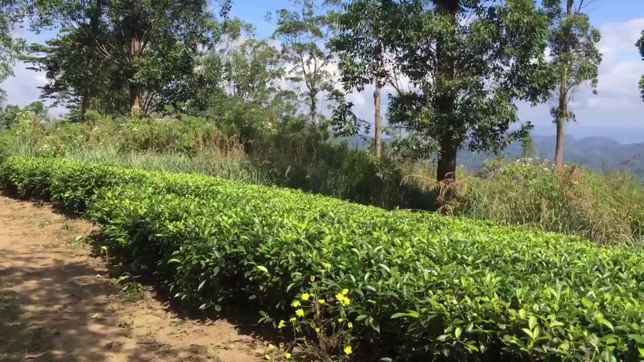 Kabaragala Hiking - කබරගල - YouTube