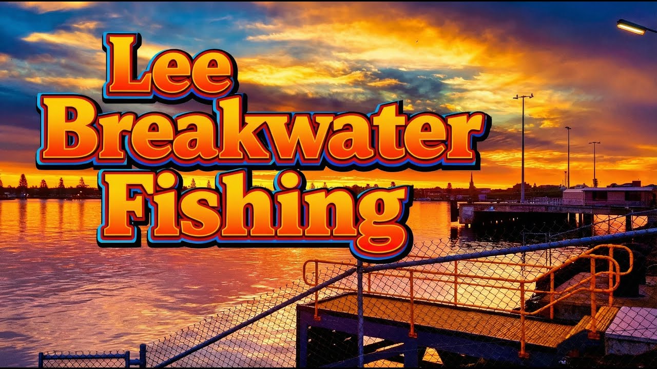 Lee Breakwater Portland Gummy shark - YouTube