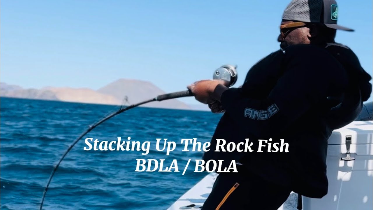 Heavy Wind No Problem BDLA / BOLA ROCK Fish Limits It Is… Baja ...