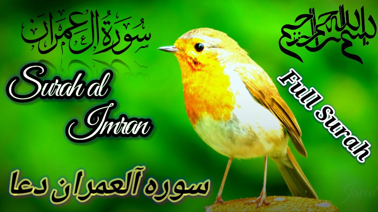 surah al-e-Imran for house | surah al-e-Imran Dua | Episode 393 | Daily ...