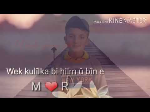 اجمل اغنية كوردية Berdilê min pir şêrîn e لا تنسا تشتركو بل قناة اسم قناة فنان كردي ميران عمر Miran