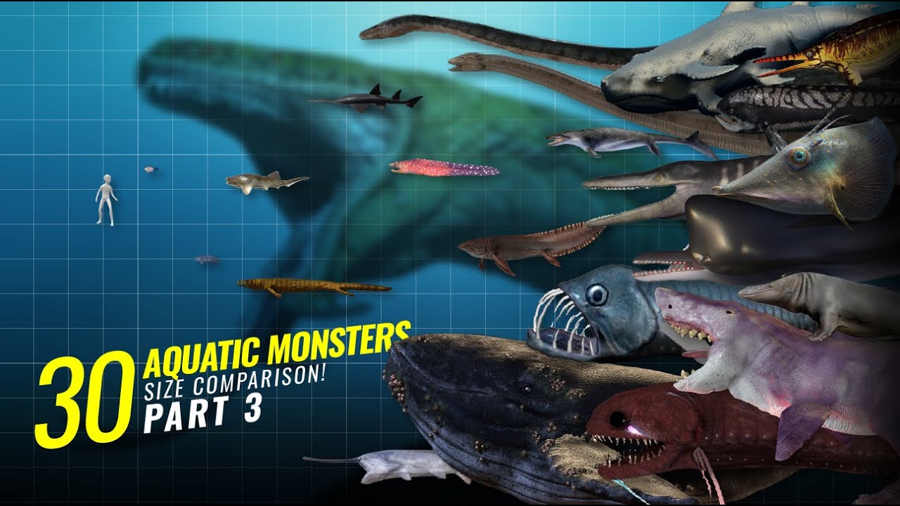 Sea Monster Size Comparison PART 3 – Extinct & Living Giants of the ...