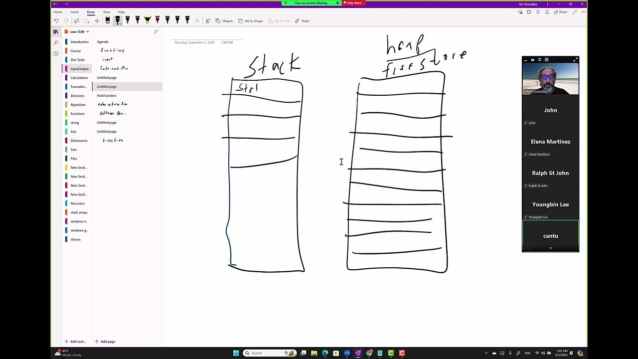 090524 COSC 1336 Python function local variables - YouTube