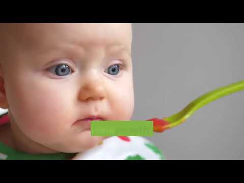 Nutrition and Weightloss Boot Camp ( nutrition facts) - YouTube