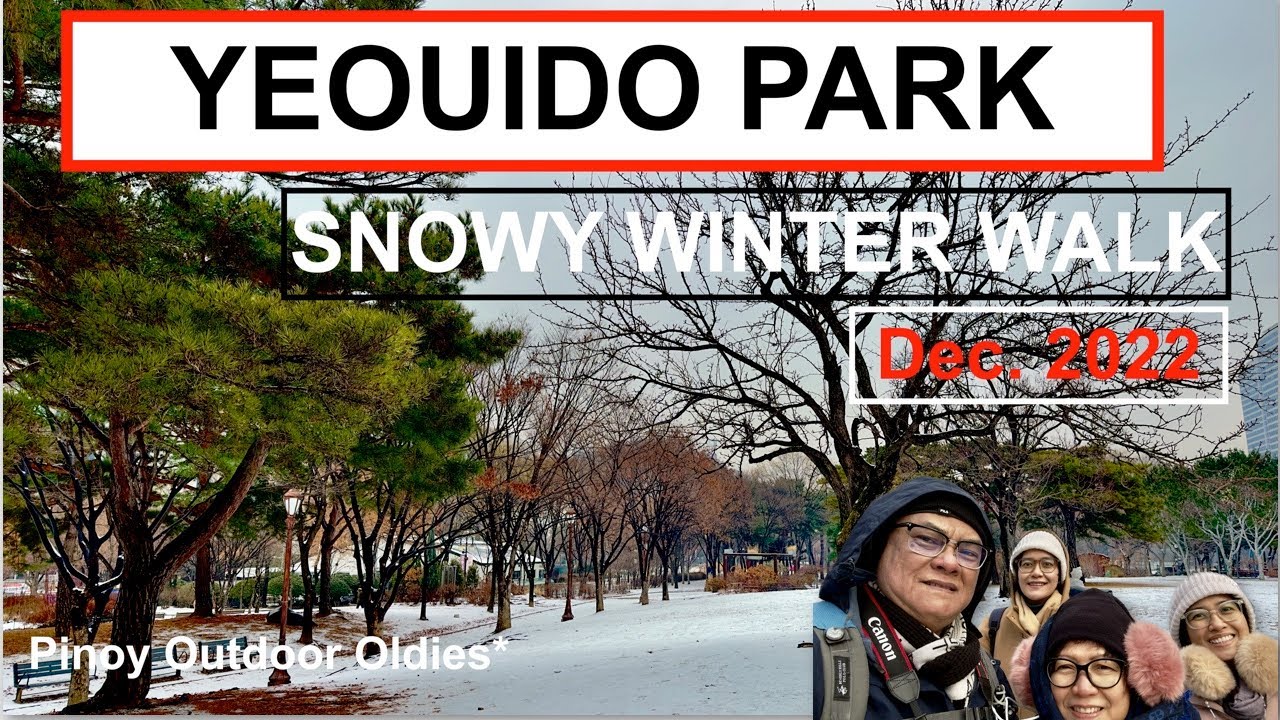 Winter Walk in Yeouido Park I Hongdae Shopping Street view I Day Six ...