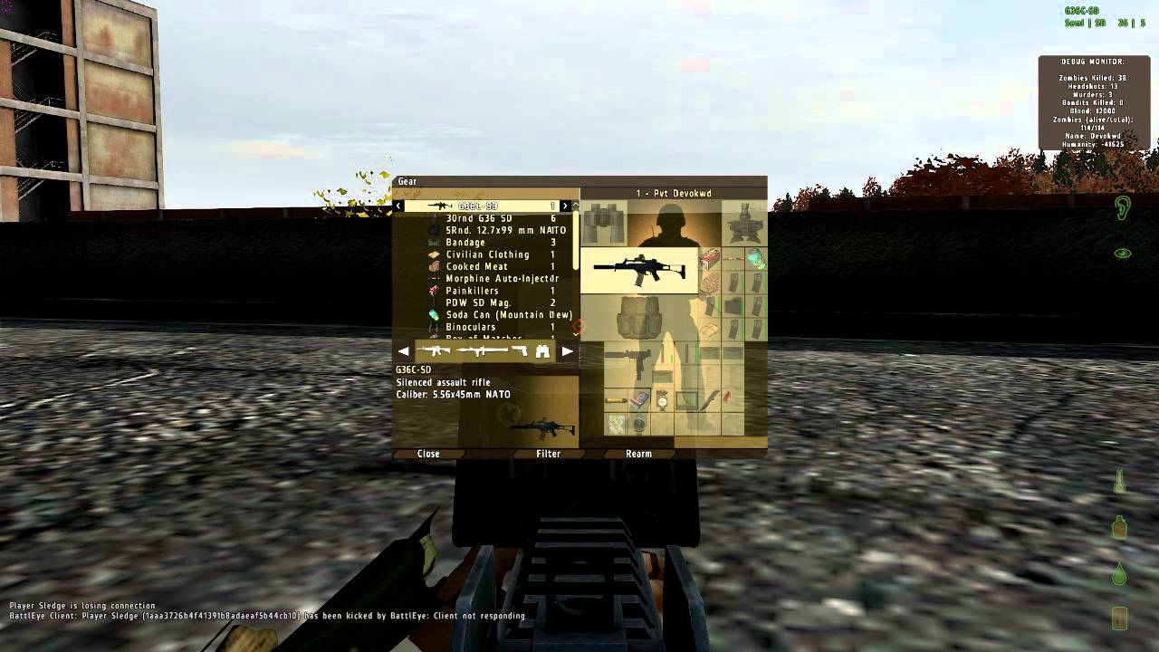 DayZ Hitman - YouTube