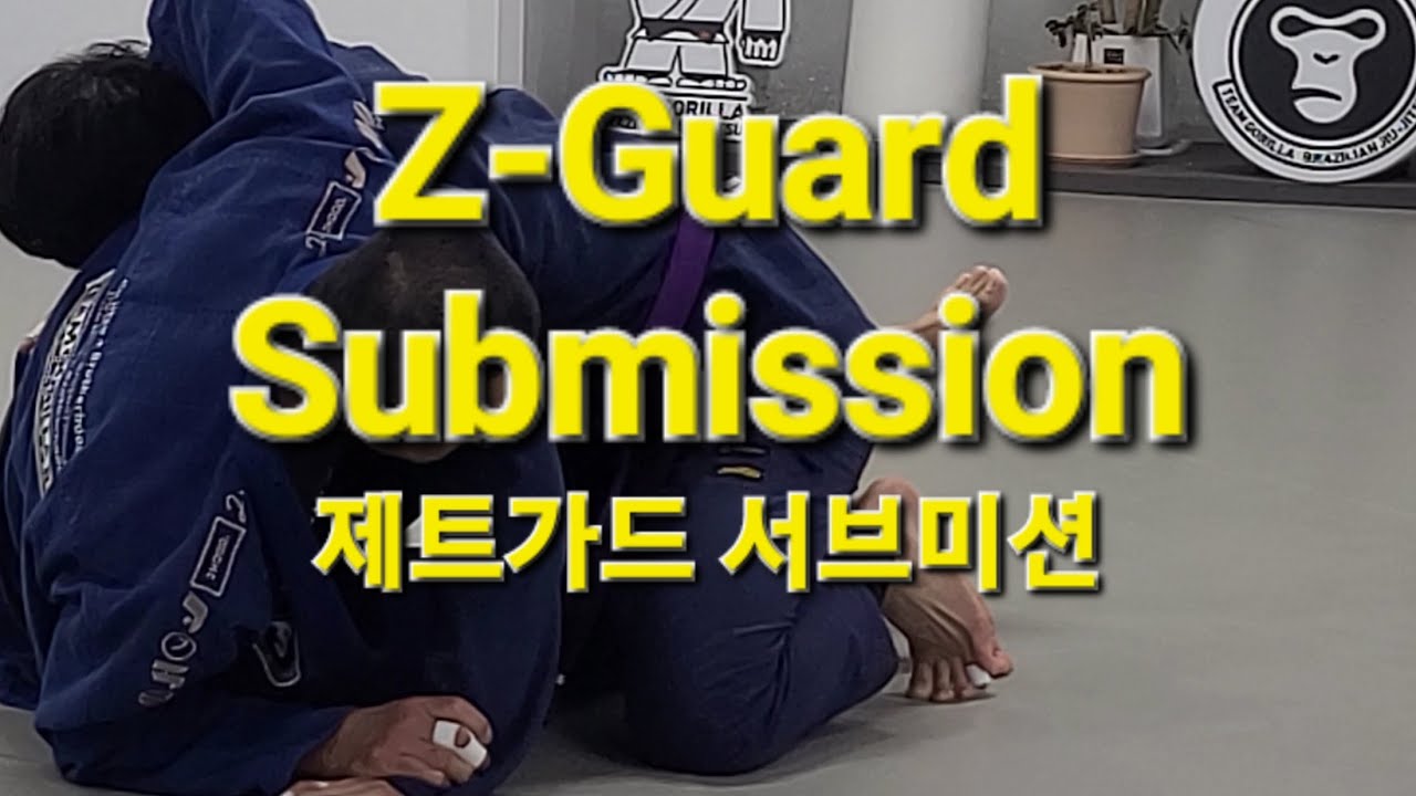 제트가드 서브미션 Z-Guard Submission (기술도움 : 김민우) #제트가드 #zguard #submission ...