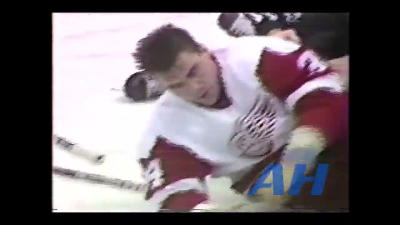 NHL Dec. 5, 1989 Daniel Shank,DET v Kelly Chase,STL Detroit Red Wings ...