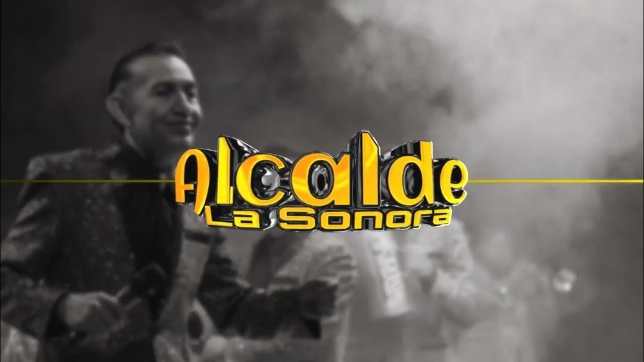 Alcalde La Sonora - Cómo Quisiera (Letra Oficial) - YouTube
