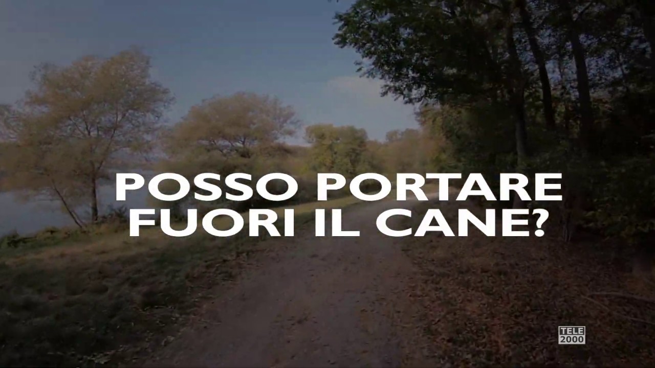 Io resto a casa - Posso andare al Parco? - YouTube