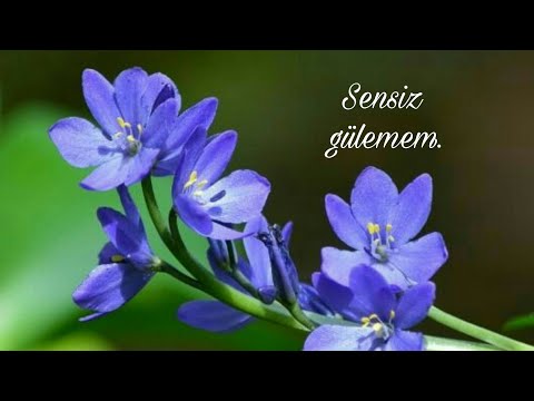 Sensiz gülemem. Duygusal estrümantal fon müziği.  Telifsiz