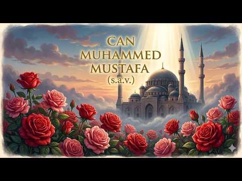 Can Muhammed Mustafa I Sufi Melodiler I İlahi Koro I #sufimelodiler