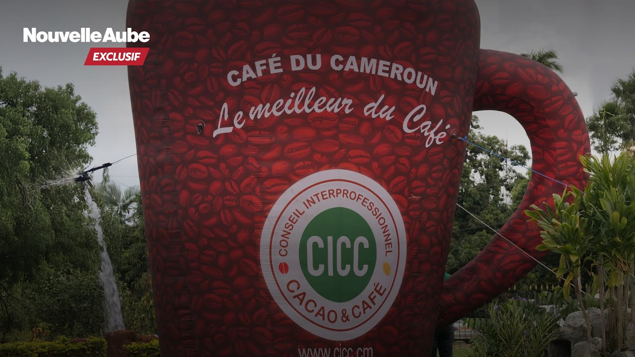 Le Festi Cacaoté Café 2025: Un évènement pour revaloriser la culture du ...