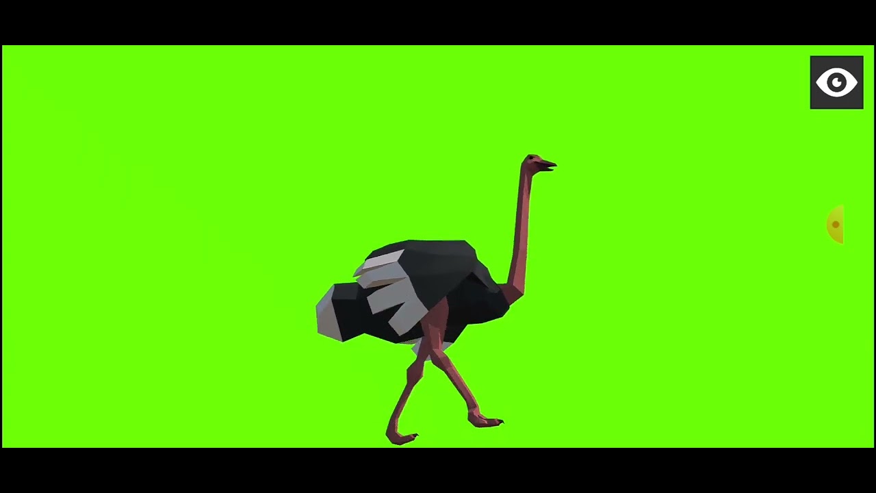 Animation birds Ostrich # Walking Ostrich #green screen background ...