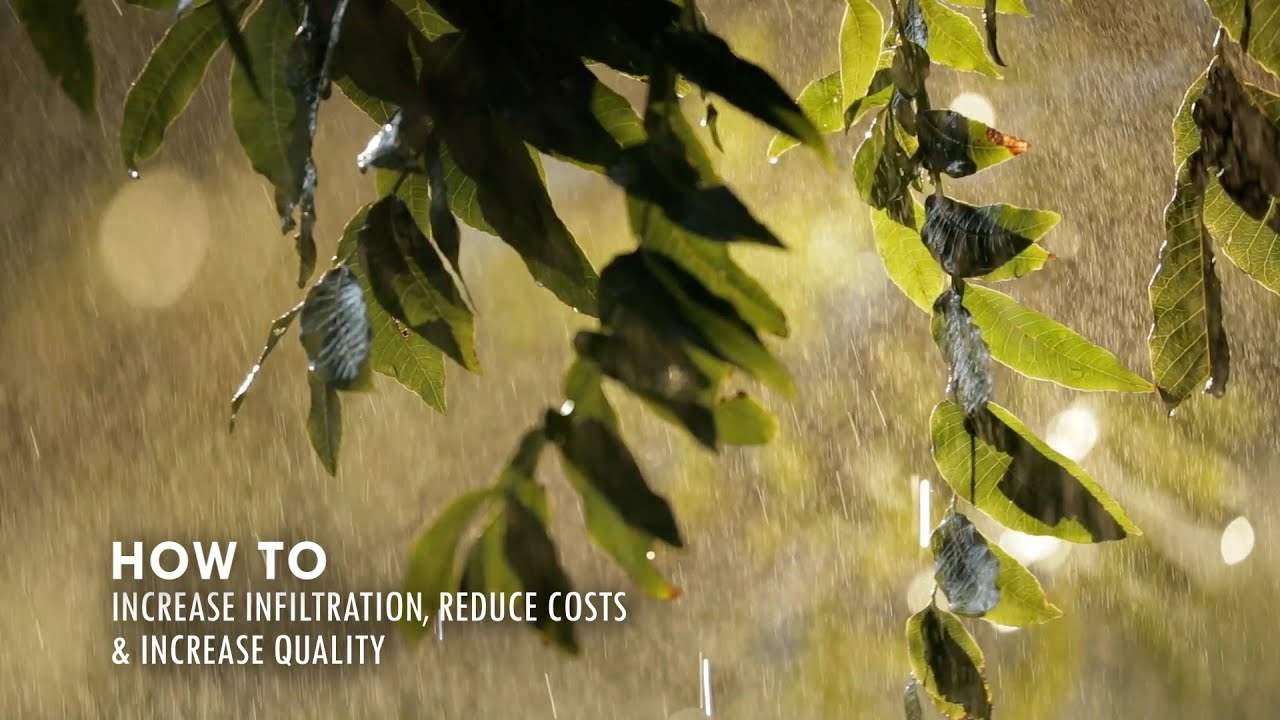 How to Increase Infiltration, Reduce Costs & Increase Quality - YouTube