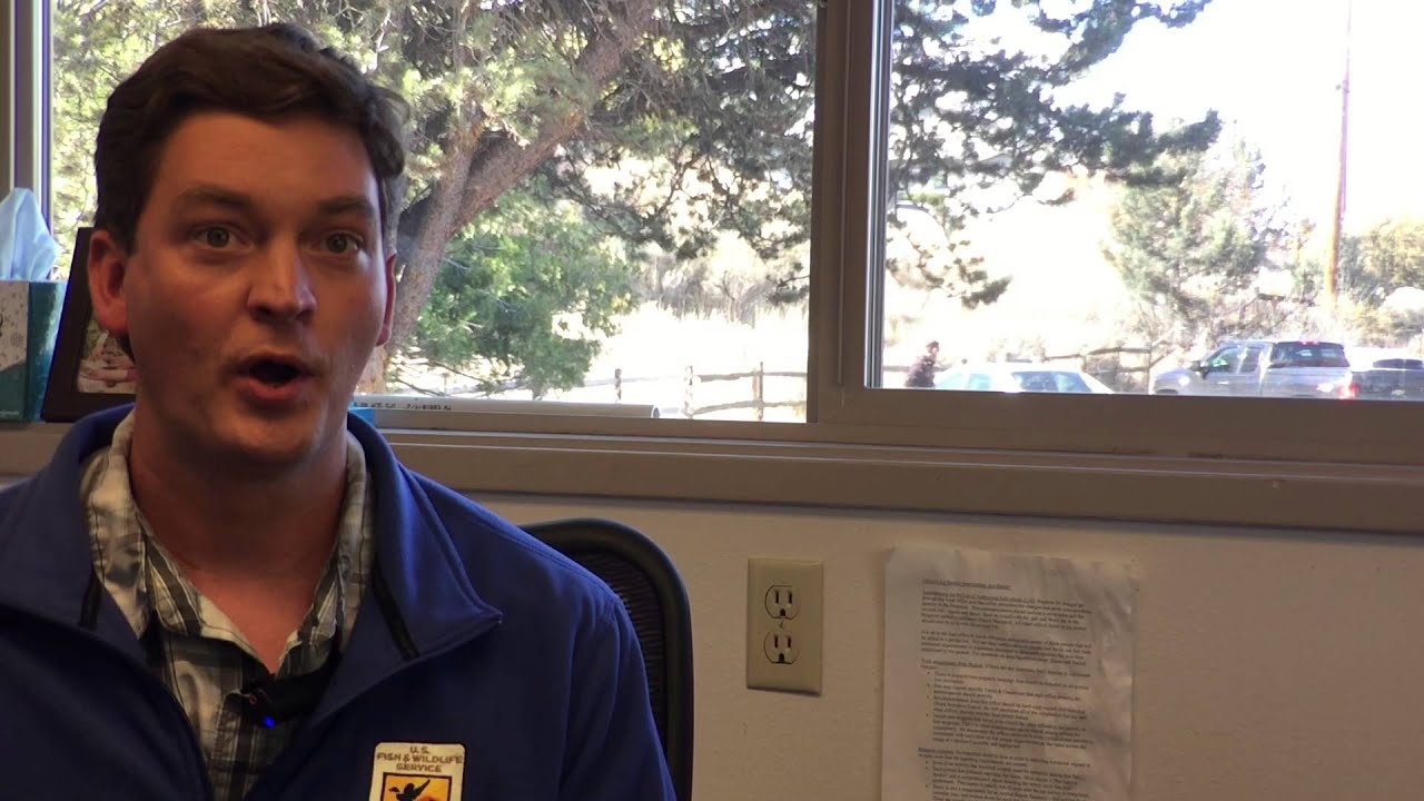 Modoc Sucker Removed From Endangered Species List - YouTube