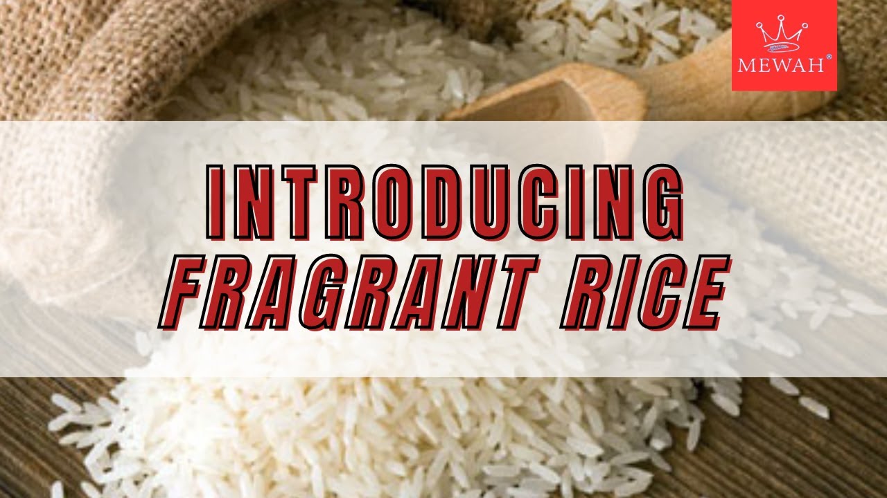 THE FACTS OF FRAGRANT RICE YOU SHOULD KNOW! - YouTube