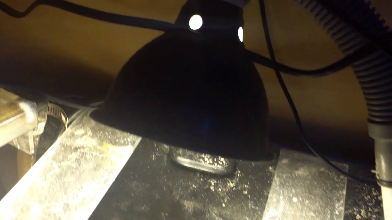 DIY Led Refugium light for less than $20 - YouTube