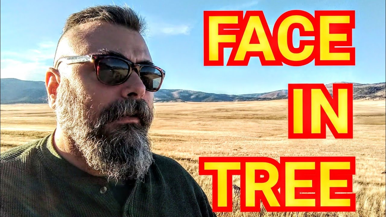 Bandelier & Caldera Near Santa Fe - YouTube