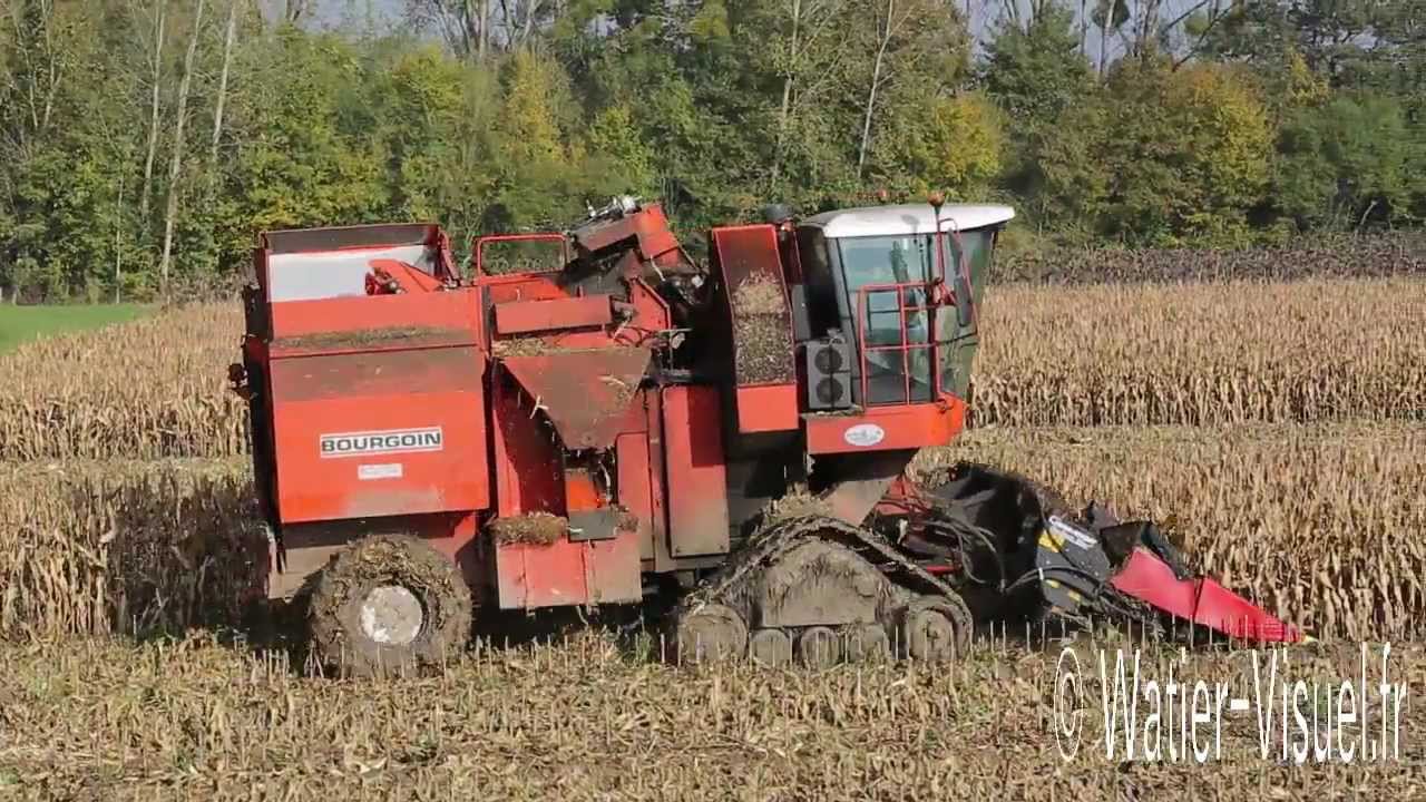 Récolte d'une production de maïs semence - YouTube