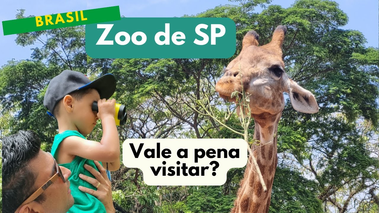 Zoológico de São Paulo - DICAS e PREÇOS | o maior da América Latina ...