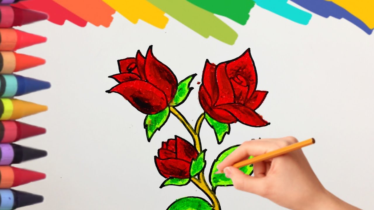 Menggambar dan Mewarnai Mawar || Cara mudah Menggambar Mawar || How to ...
