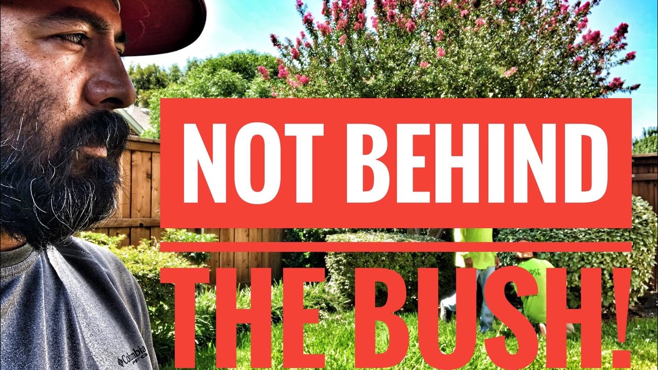 Don't Even think about Going behind the Bush! | No Toilet Paper! - YouTube