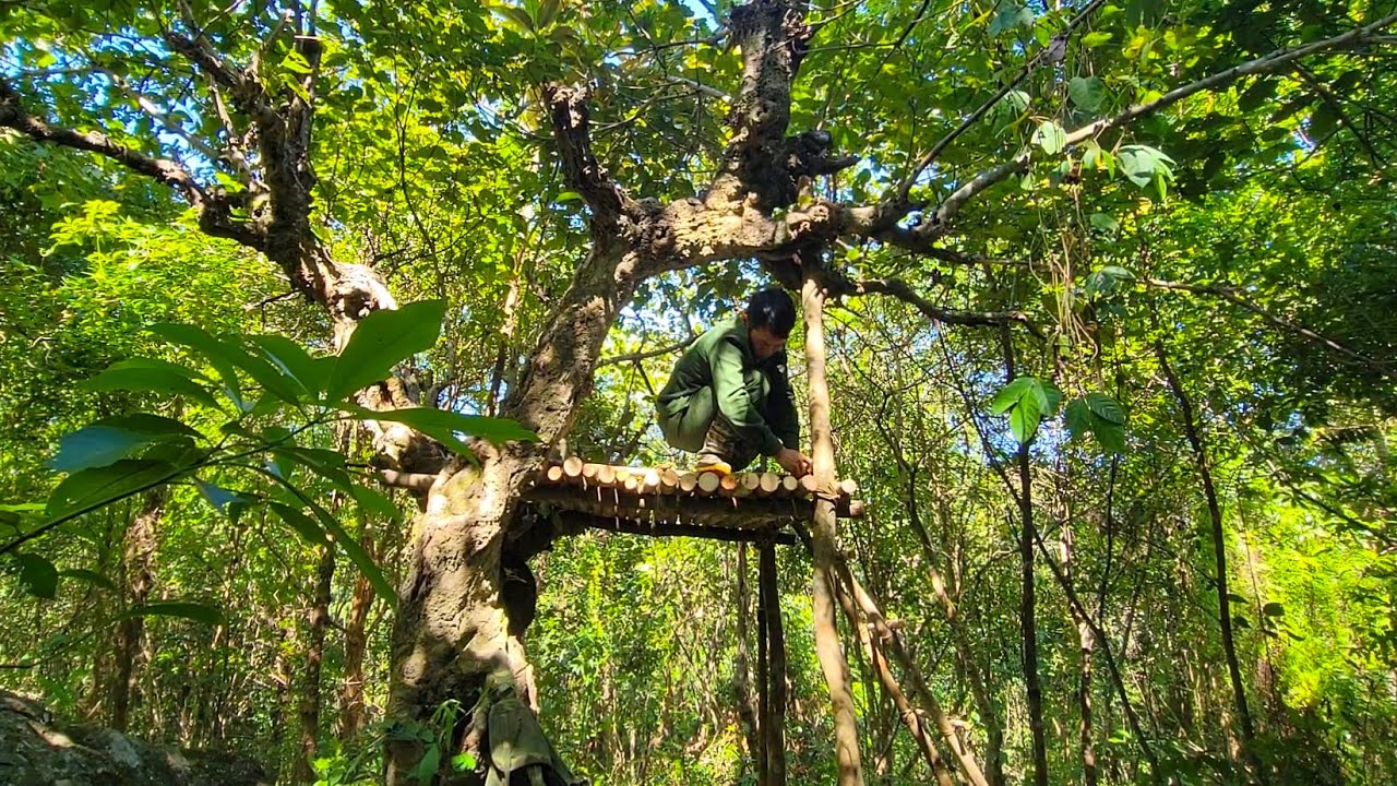 4 DAYS OF SURVIVAL IN THE FOREST MAKE SHELTER IN TREE, WILD FOOD AND ...