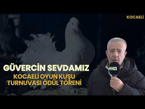 KOCAELİ OYUN KUŞU TURNUVASI ÖDÜL TÖRENİ I GÜVERCİN SEVDAMIZ