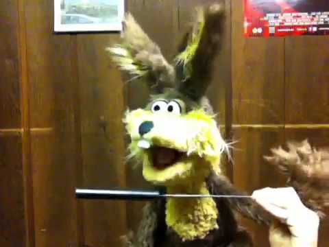 Reese Rabbit - YouTube