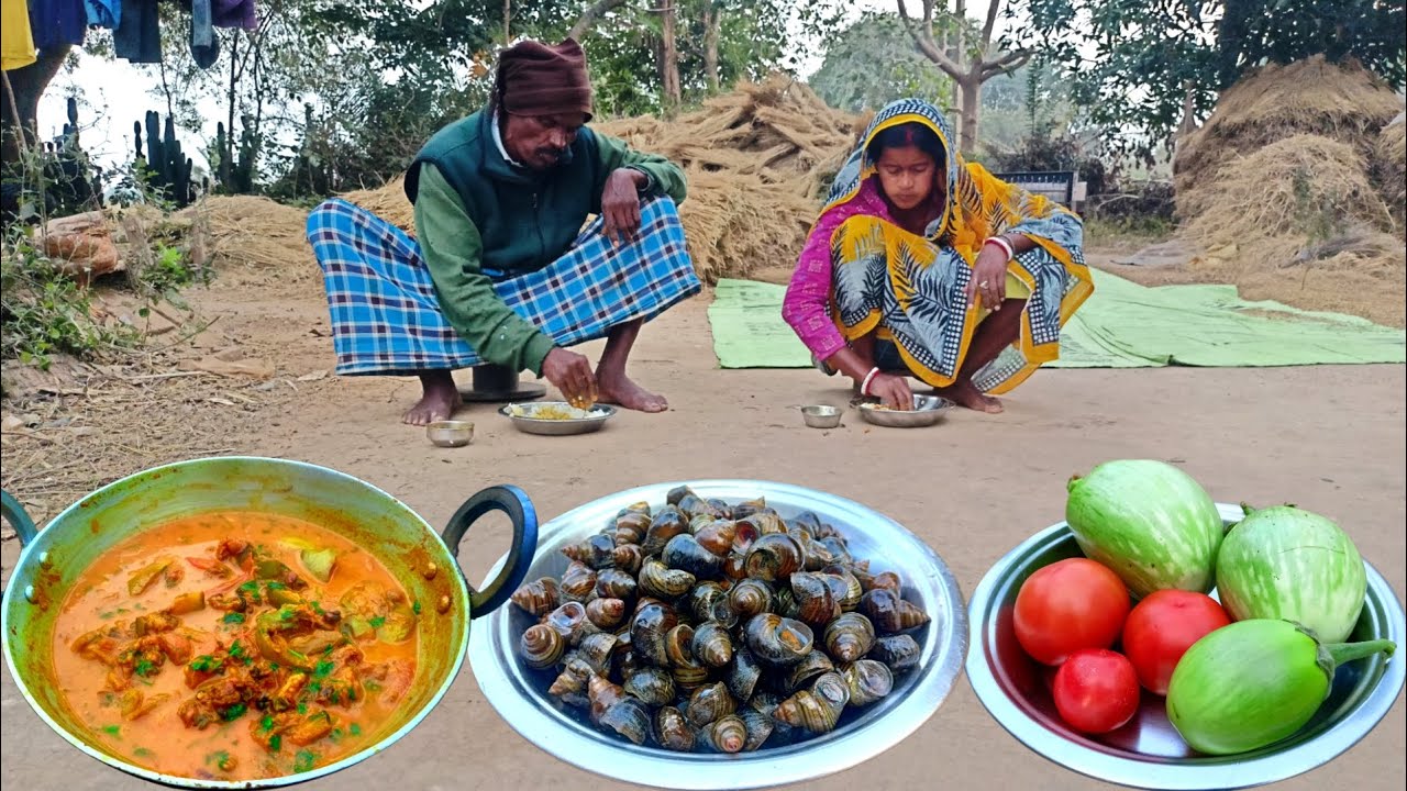 winter special SNAILS with BRINJAL TOMATO curry recipe village cooking ...