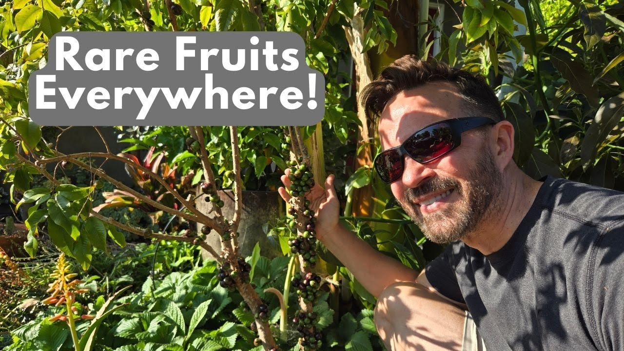 Part 1 of an Amazing Rare Fruit Collection! - YouTube