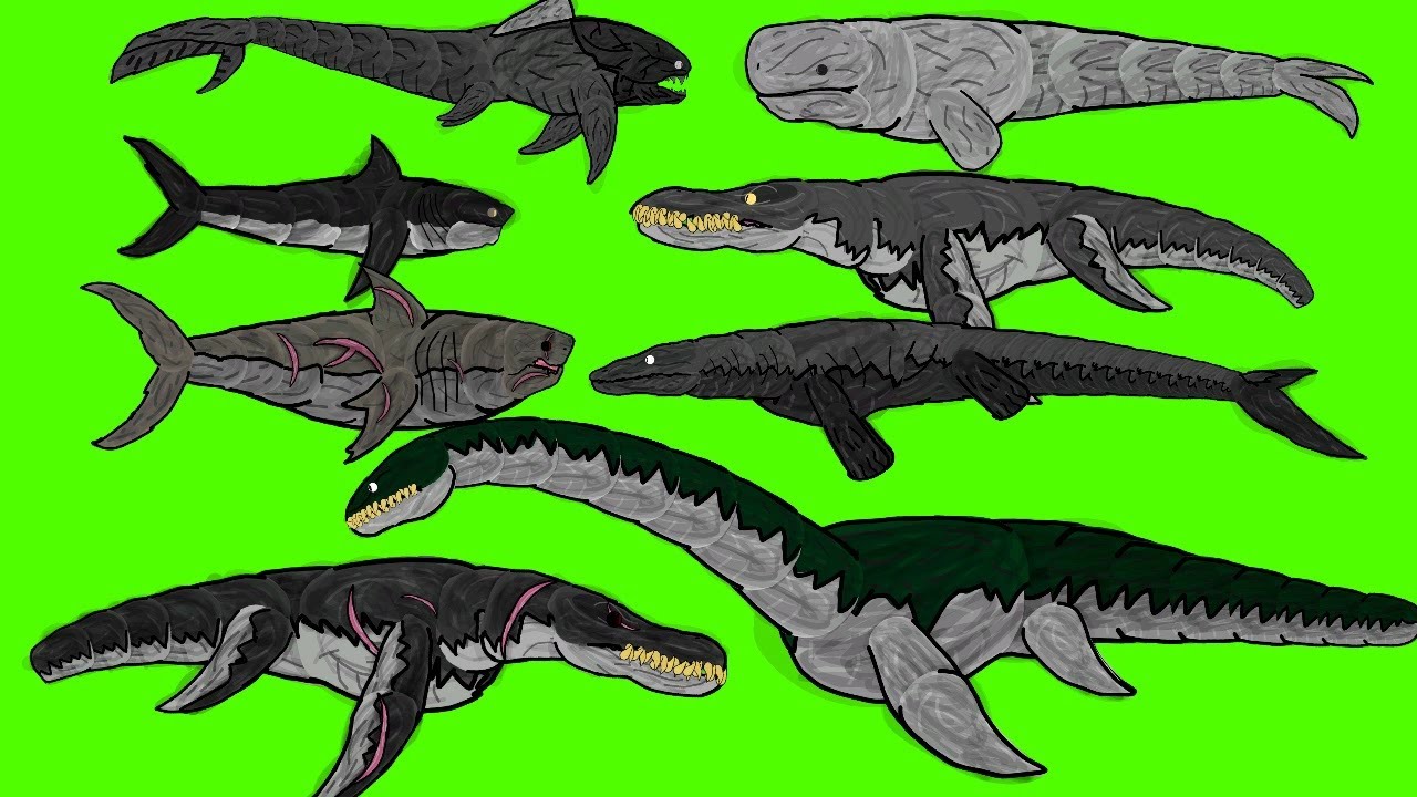 Sea Monster Pack DC2, Megalodon, Predator, Helicoprion, Leviathan ...