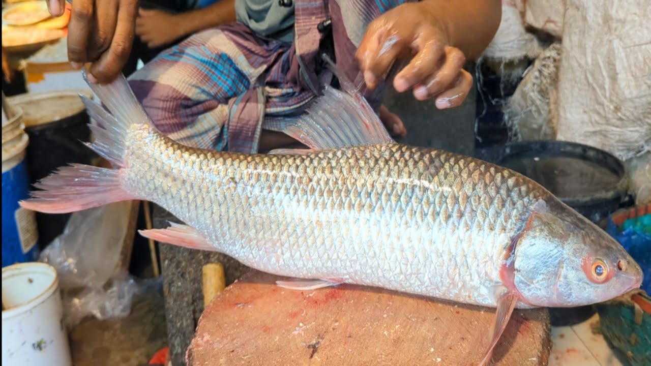 Amazing Mrigal Fish Cutting Skills In Bangladesh Local Fish Market ...