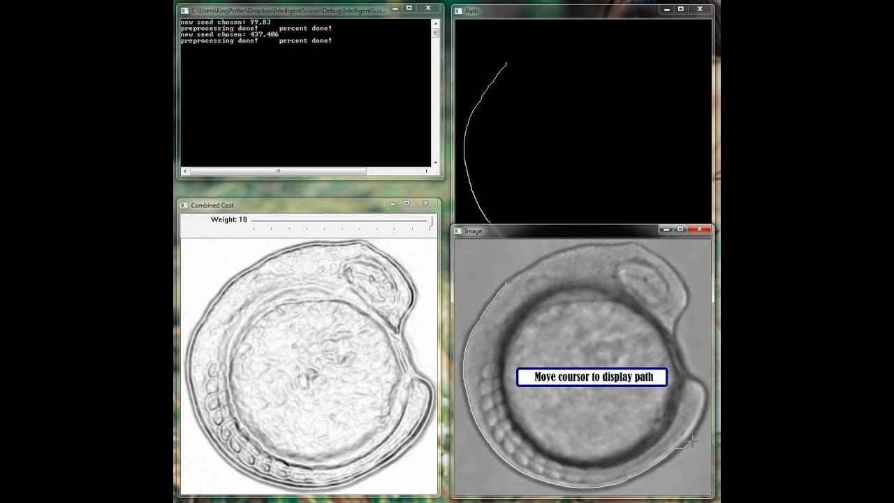 Intelligent Scissor for image segmentation - YouTube