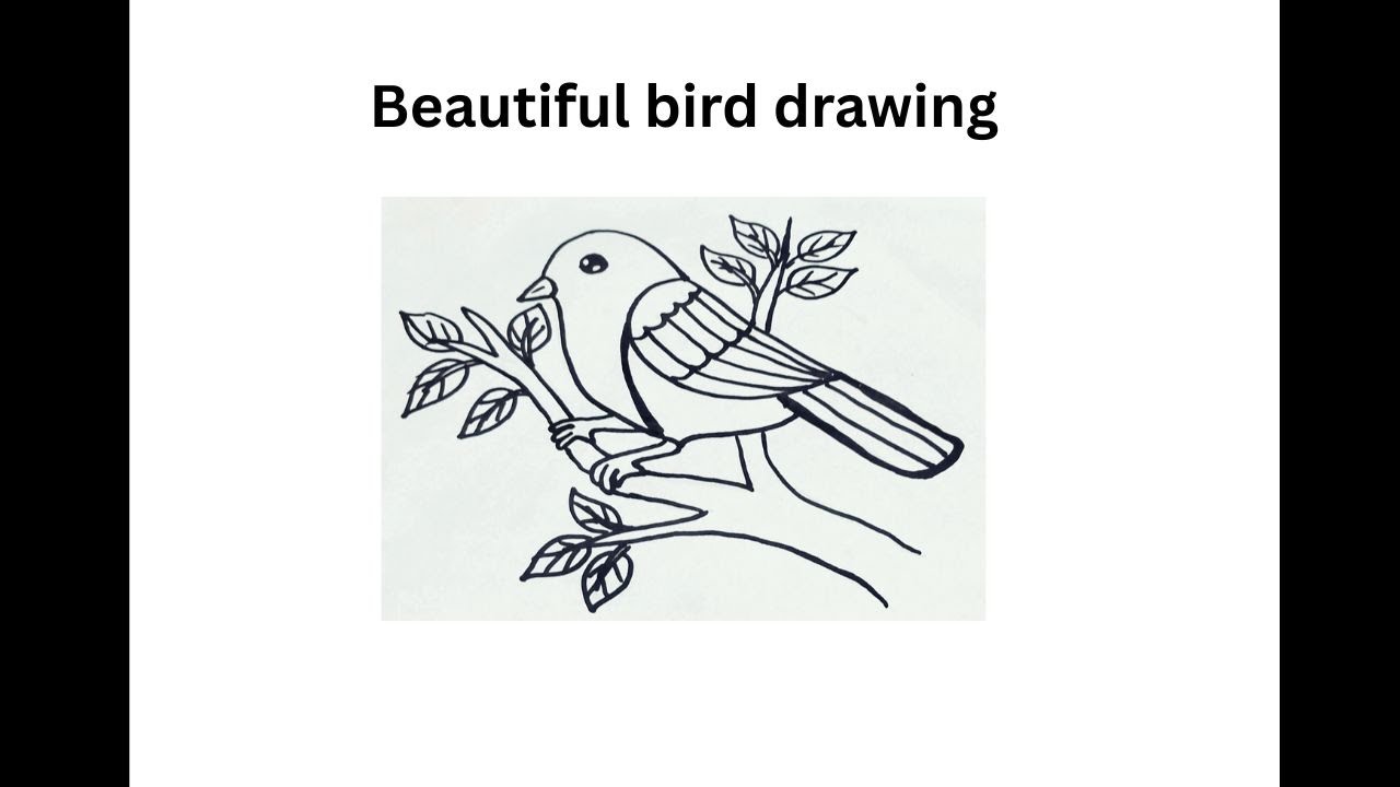 How to draw beautiful bird drawing || Easy drawing|| Kuch Sikho|| Jaki ...