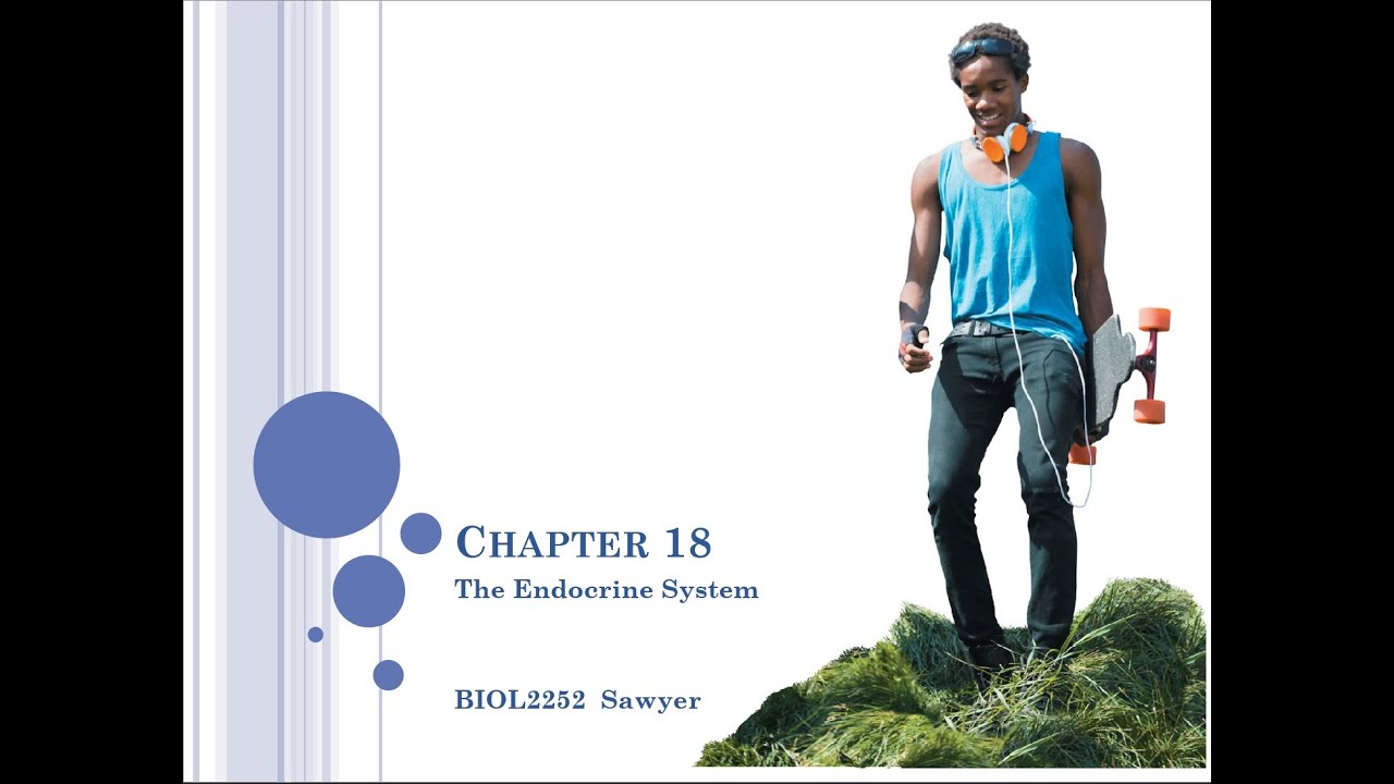 Chapter 18 Lecture Video - YouTube