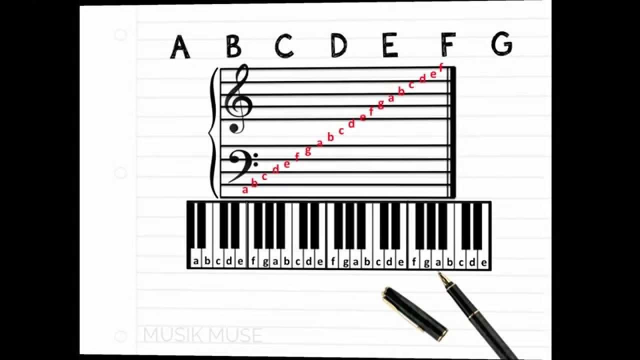 Musik Muse: Notes on the Staff - YouTube