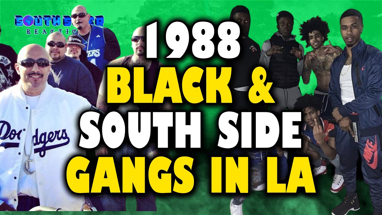 Southsider & Black Crip Gangs Documentary About Life In South Central ...