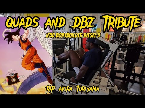 Quad Workout / DBZ Akira Toriyama Tribute / Why We Train - YouTube