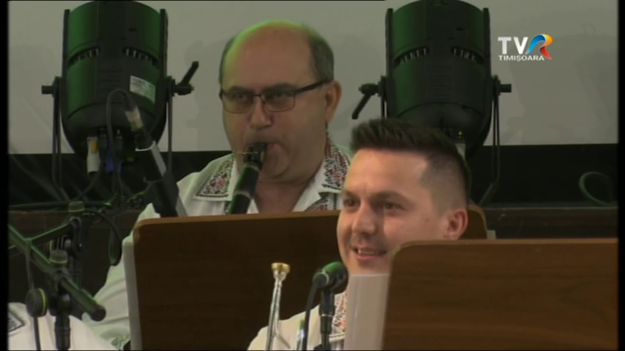 Ansamblul Profesionist Banatul - Suita instrumentala - YouTube